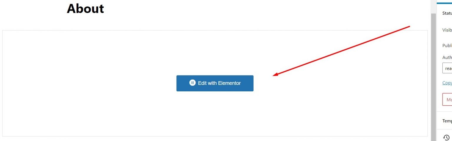 Elementor Widget Wordpress Themes And Plugin 8237